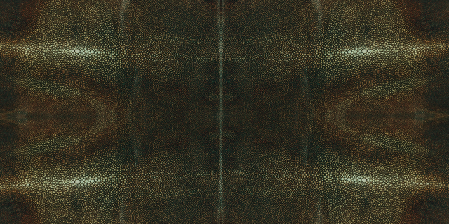 RR Gift Card – Rachael Ruddick